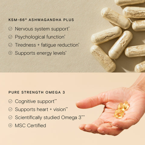 nervous system support supplements