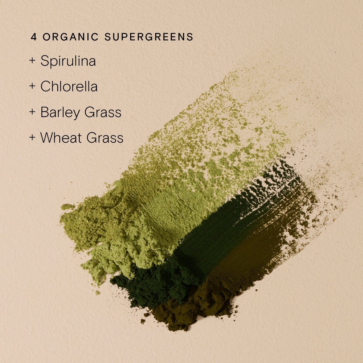 Organic Protein & Superfood Powder | Vegan Protein